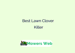 Best Lawn Clover Killer(5 Best Options 2026) | Mowers Web