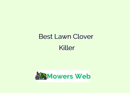 Best Lawn Clover Killer(5 Best Options 2026) | Mowers Web